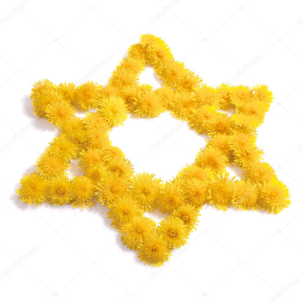 Dandelion Star of David Stock Photo by ©tmasters03 35963919