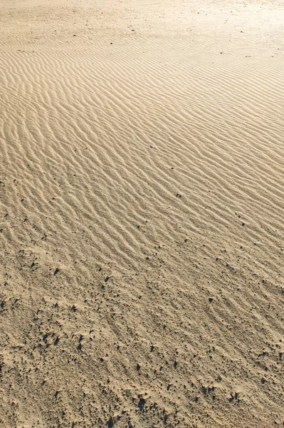 Quicksand Stock Photos, Royalty Free Quicksand Images | Depositphotos