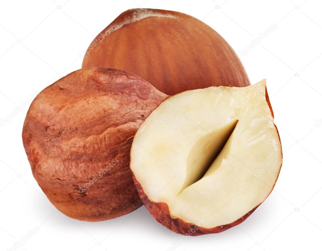 Hazelnut Stock Photo by ©primopiano 29414281