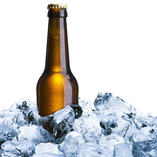 Beer bottles in ice cubes Stock Photo by ©somchaij 50355045