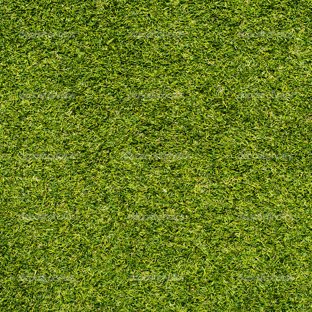 Fresh Green Grass texture — Stock Photo © somchaij #30170887