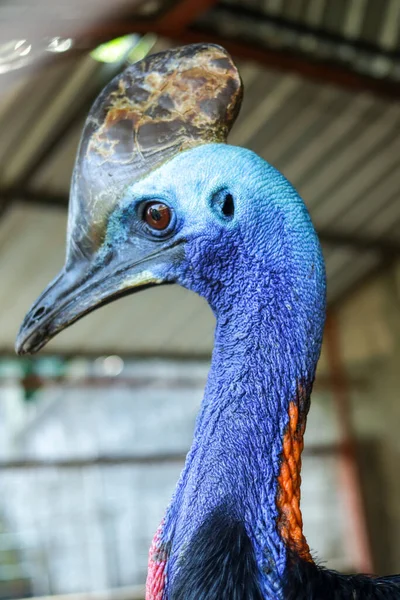 Indian kama Stock Photos, Royalty Free Indian kama Images | Depositphotos