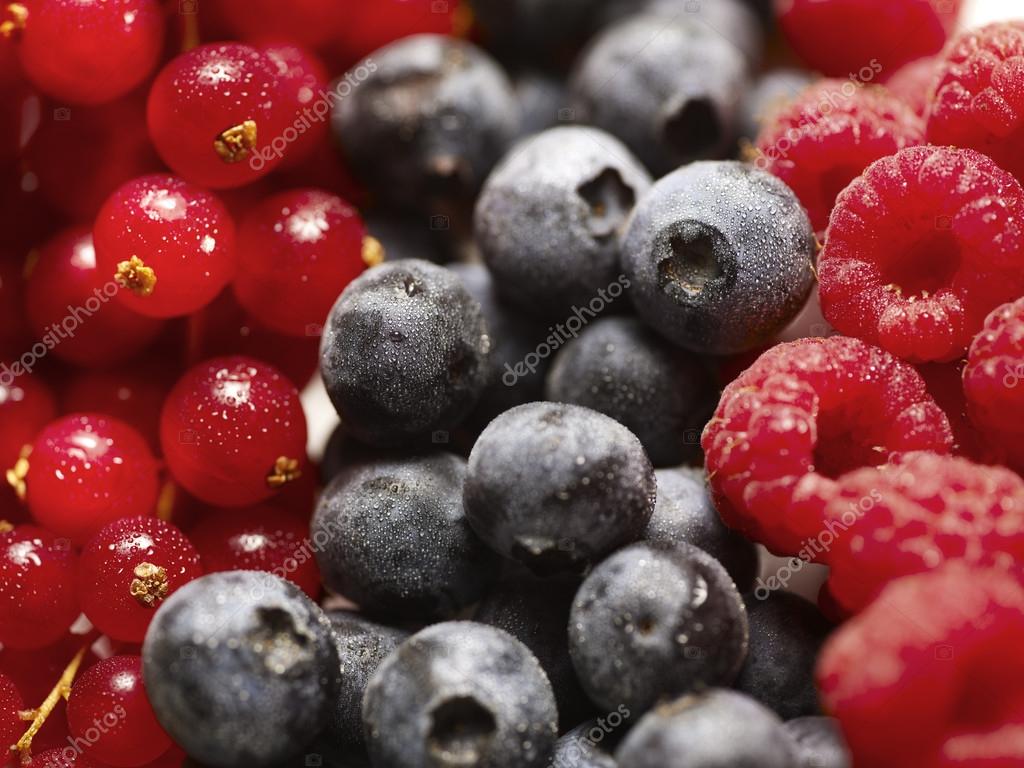 Mixed berry fruit — Stock Photo © Greatstock #29346833