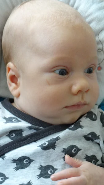 Poopy baby pics Stock Photos, Royalty Free Poopy baby pics Images ...