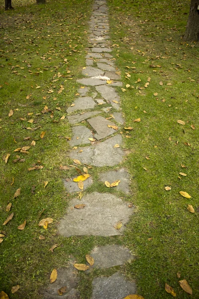 Oak tree driveway Stock Photos, Royalty Free Oak tree driveway Images ...