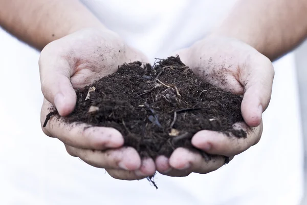 Hand holding the soil Stock Photos, Royalty Free Hand holding the soil ...