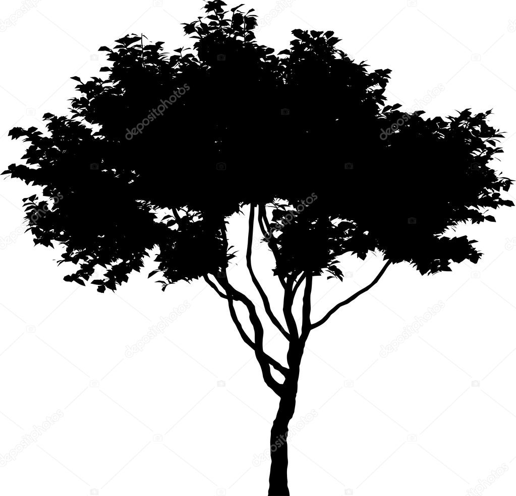Vector tree Stock Vector by ©strixcode 29734953