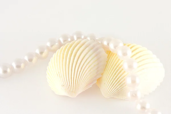 Perlas y conchas de mar fotos de stock, imágenes de Perlas y conchas de ...