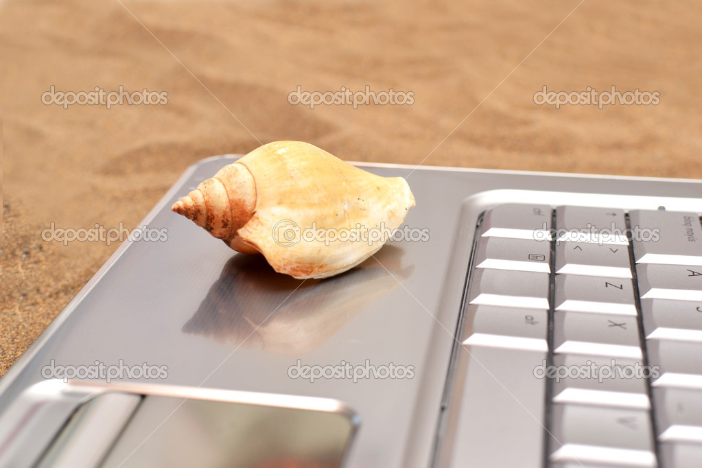 Laptop and shell on wood — Stock Photo © etorres69 #49687375
