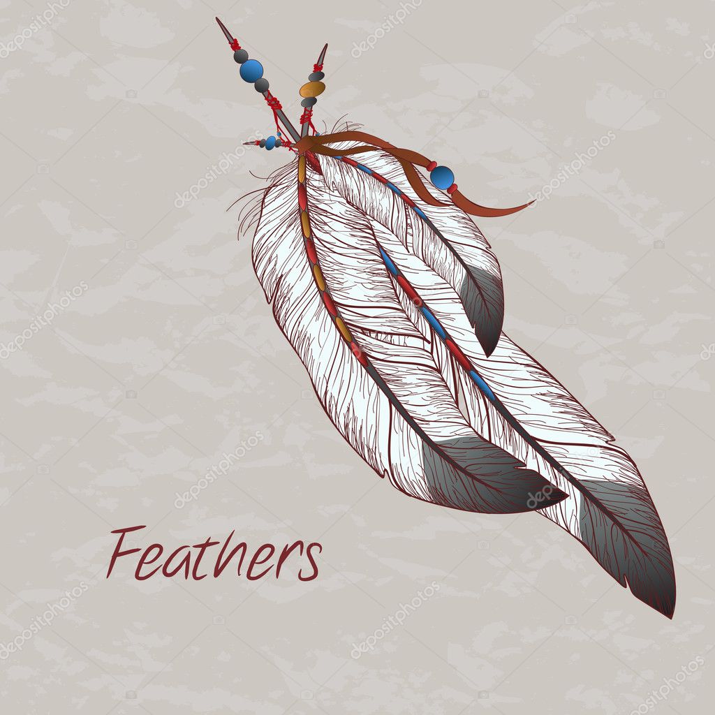 Eagle Feather Vector