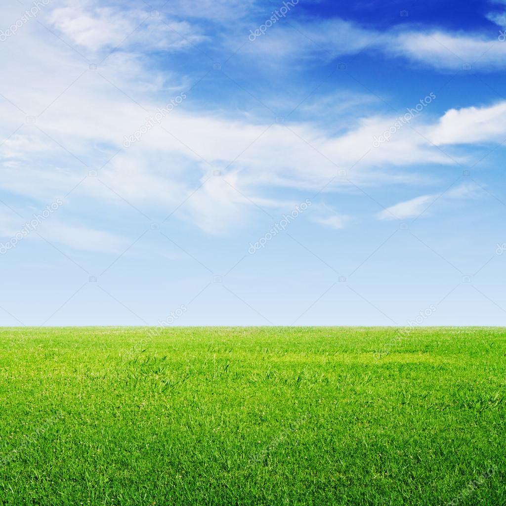 Grass and sky Stock Photo by ©peshkov 31366373