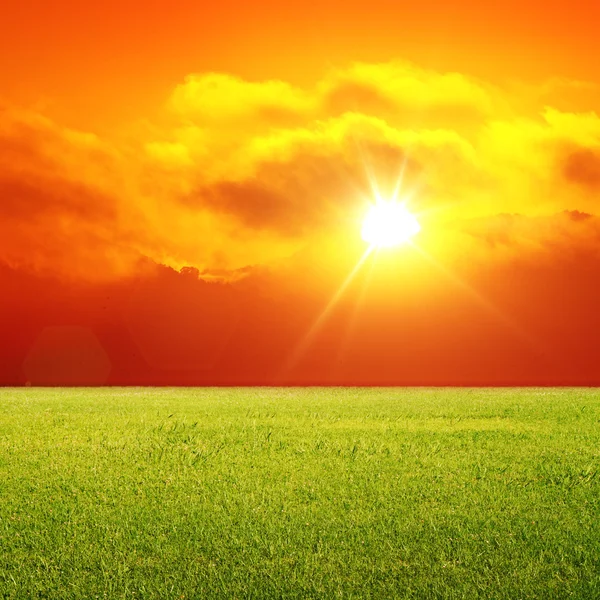 Green sunrise nature Stock Images - Search Stock Images on Everypixel