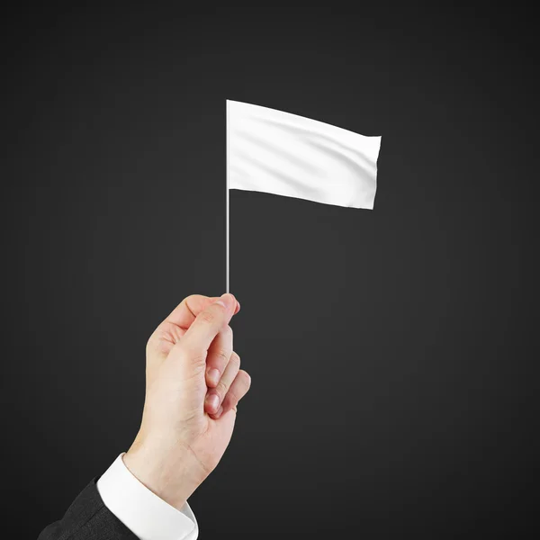 Hand holding flag Stock Photos, Royalty Free Hand holding flag Images ...