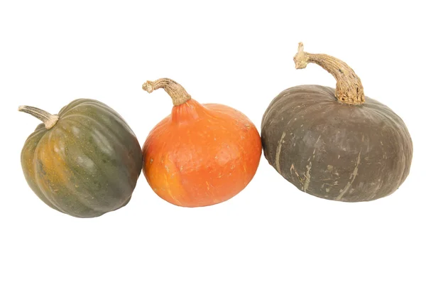 Fall squash Stock Photos, Royalty Free Fall squash Images | Depositphotos