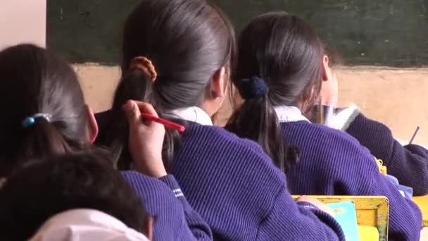 16,179 Students in class Stock Videos, 4K & HD Footage | Depositphotos