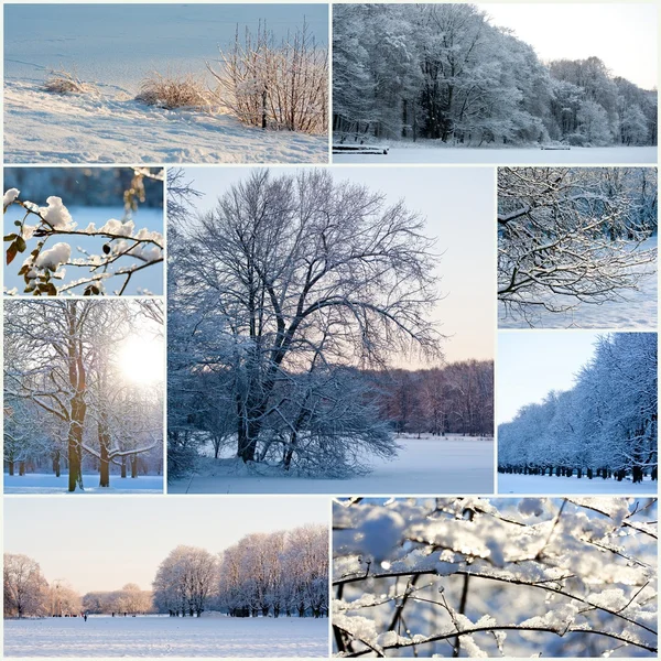 Winter landscape collage Stock Photos, Royalty Free Winter landscape ...