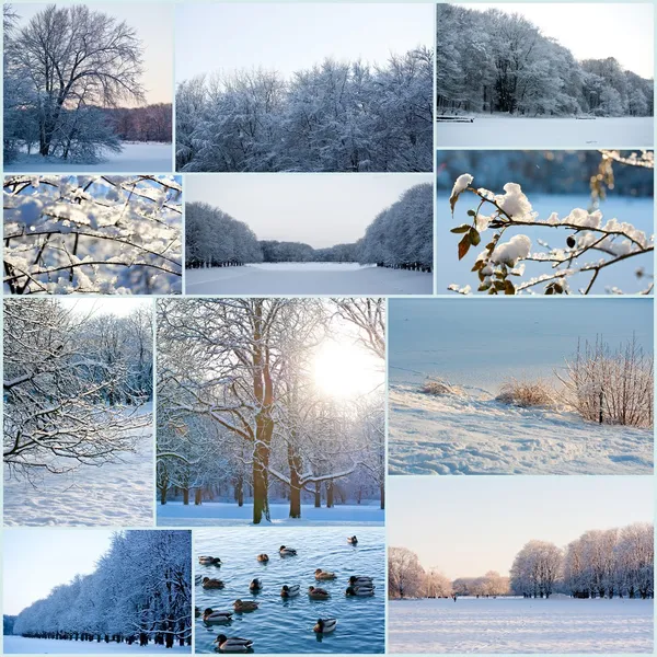 Winter landscape collage Stock Photos, Royalty Free Winter landscape ...