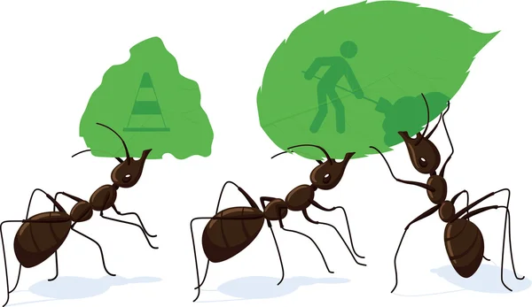 Fotos de formiga Stock Photos, Royalty Free Fotos de formiga Images ...