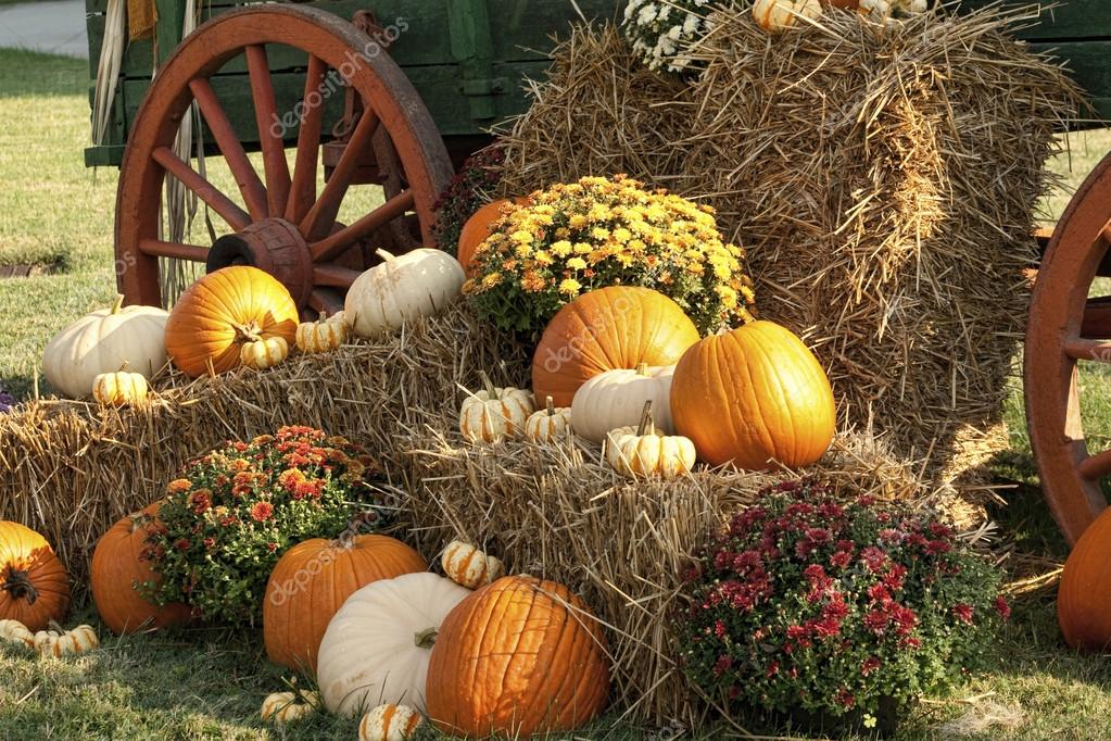 Antique Wagon and Autumn Pumpkin Display — Stock Photo © kathyclark ...