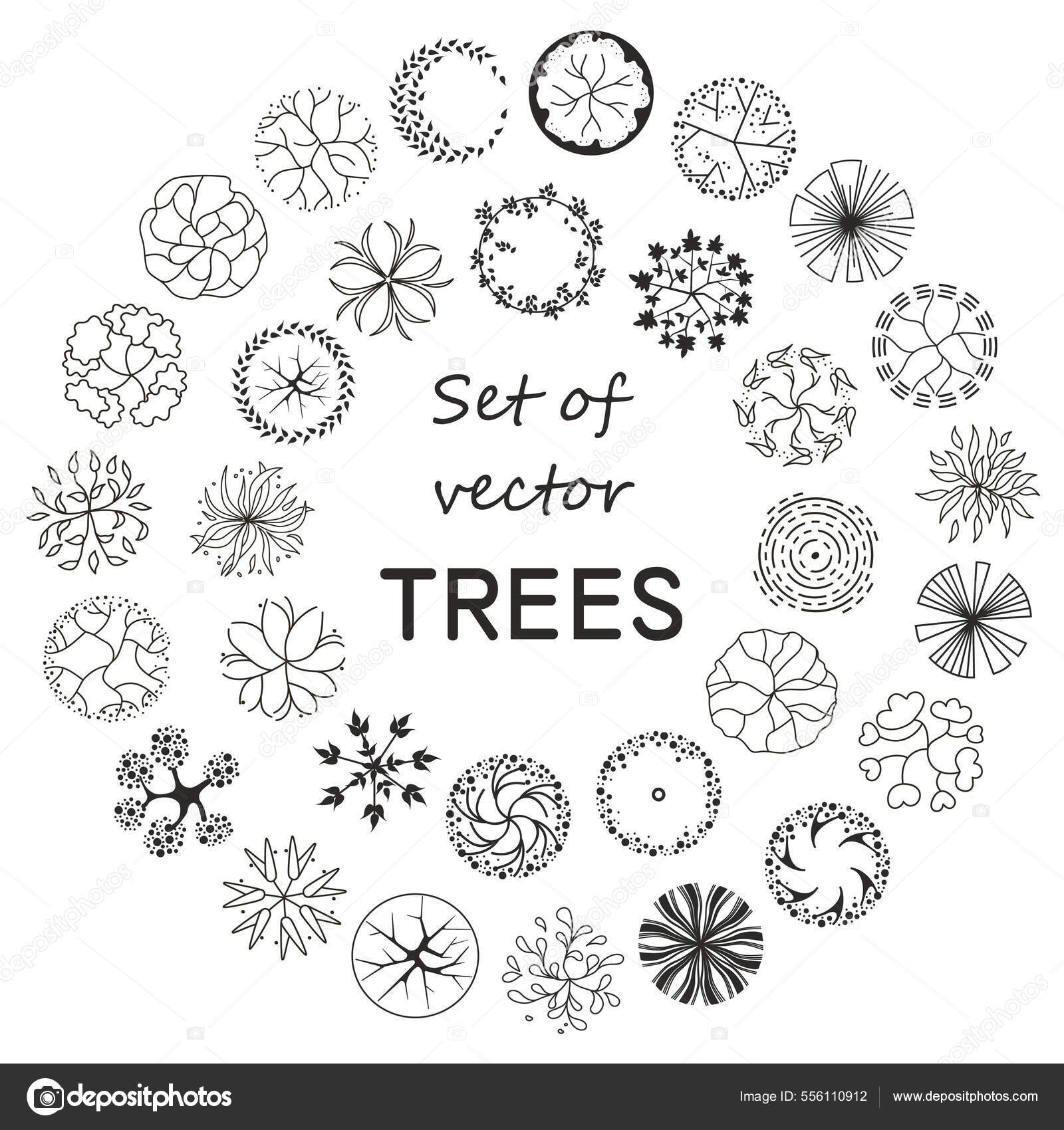 Trees Master Plan Tree Architectural Floor Plans Entourage Design ...