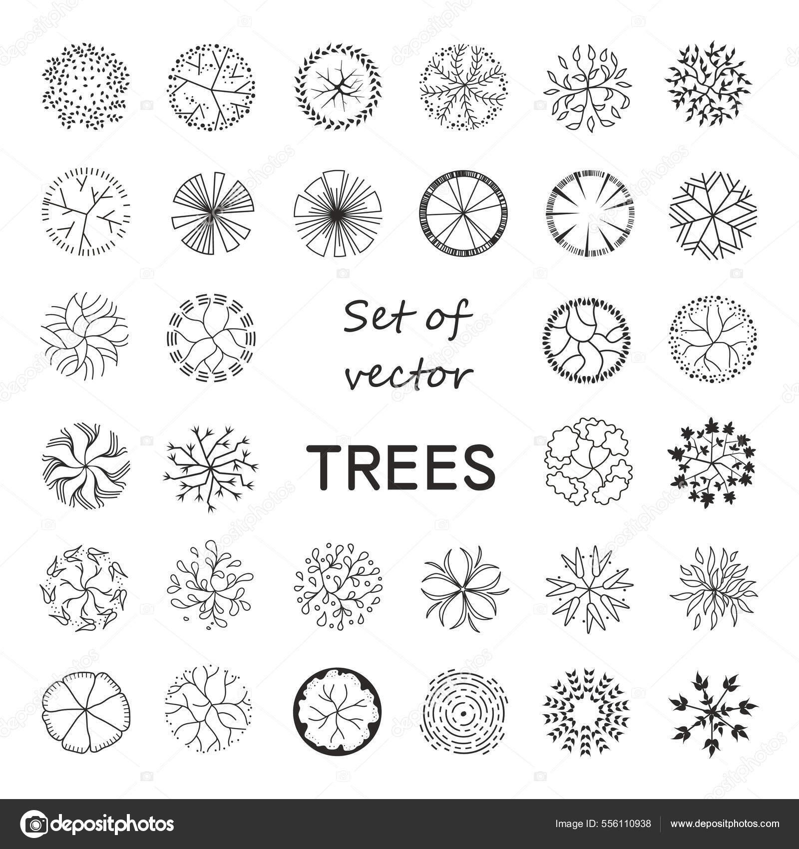 Trees Master Plan Tree Architectural Floor Plans Entourage Design ...