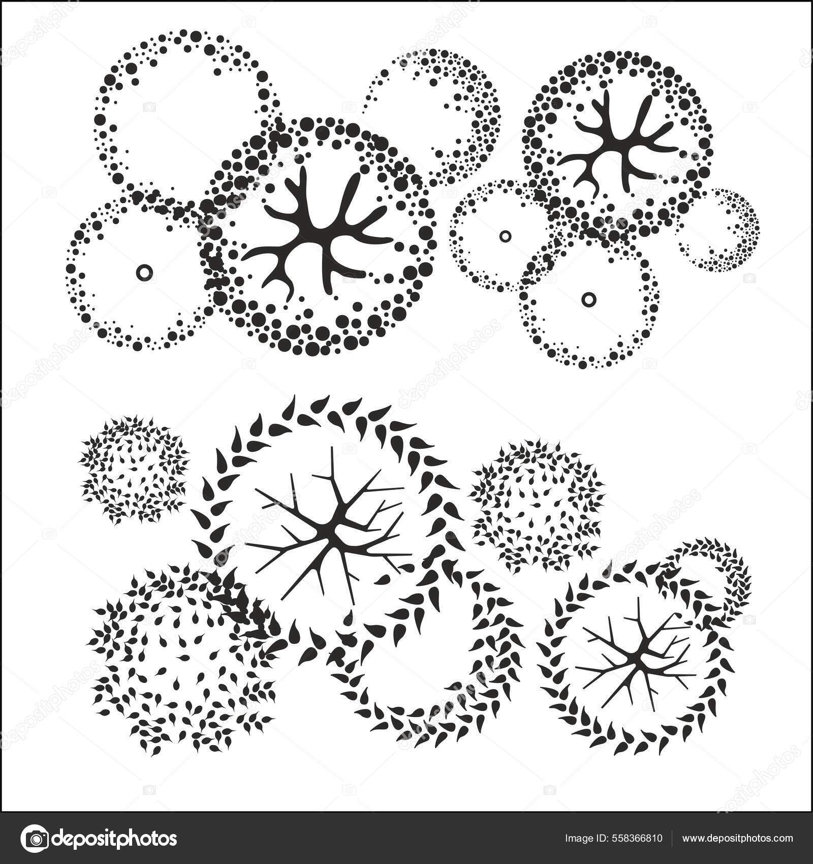 Trees Master Plan Entourage Design Various Trees Bushes Shrubs Top ...