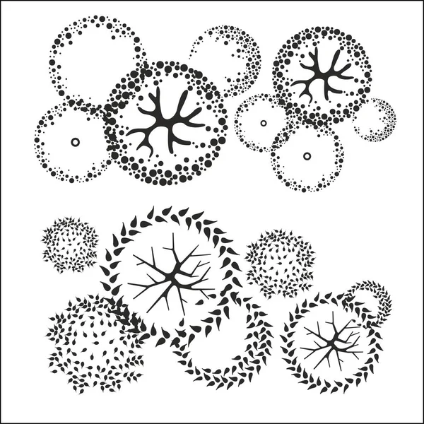 Trees Master Plan Tree Architectural Floor Plans Entourage Design ...