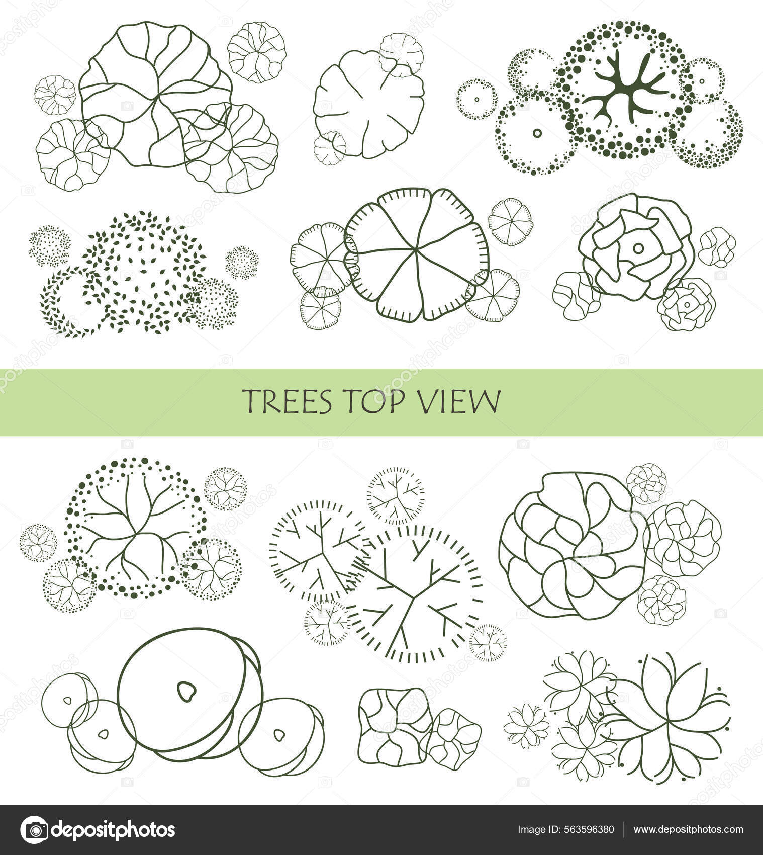 Set Vector Trees Entourage Design Various Trees Bushes Shrubs Top Stock ...