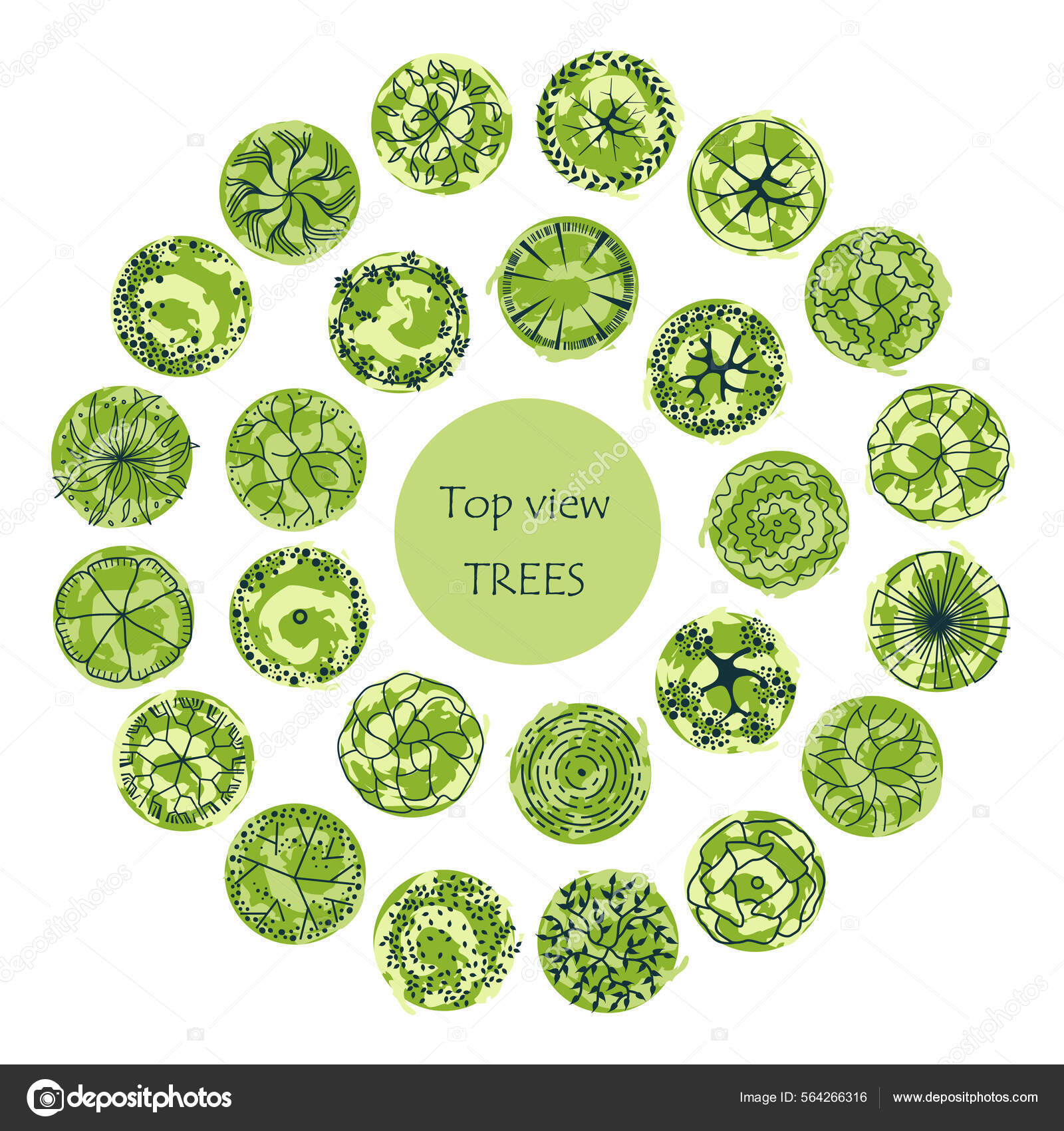 Image vectorielle Des Arbres Pour Plan Directeur Arbre Pour Plans ...