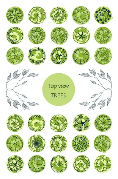 Trees Master Plan Tree Architectural Floor Plans Entourage Design ...