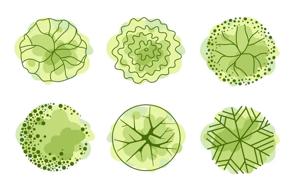 Trees Master Plan Tree Architectural Floor Plans Entourage Design ...