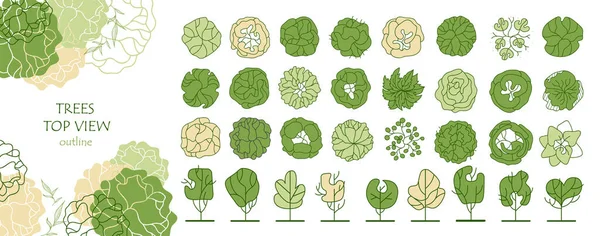 Tree Architectural Floor Plans Entourage Design Various Trees Bushes ...