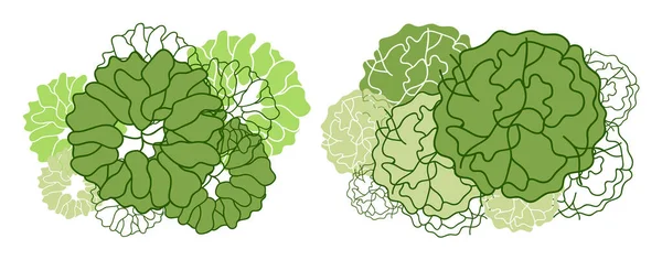 Trees Architectural Floor Plans Entourage Design Top View Trees ...
