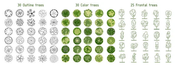Baum Für Architekturgrundrisse Entourage Design Verschiedene Bäume ...