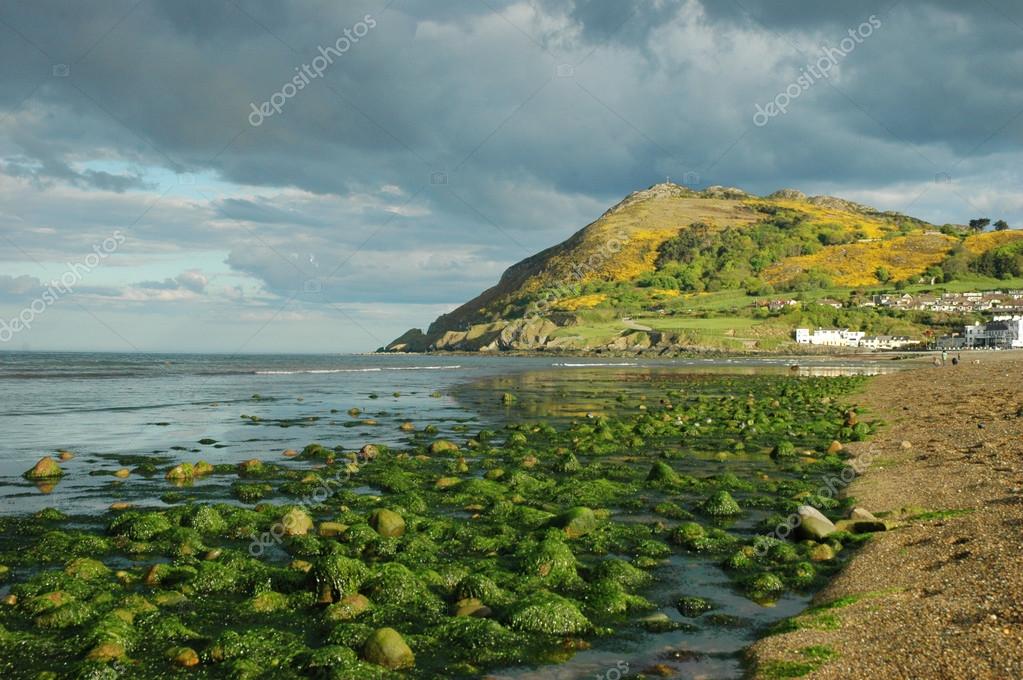 Bray beach, Ireland — Stock Photo © varsescu #32073503