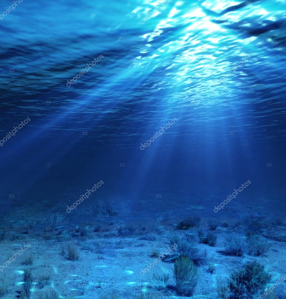 Underwater Landscape