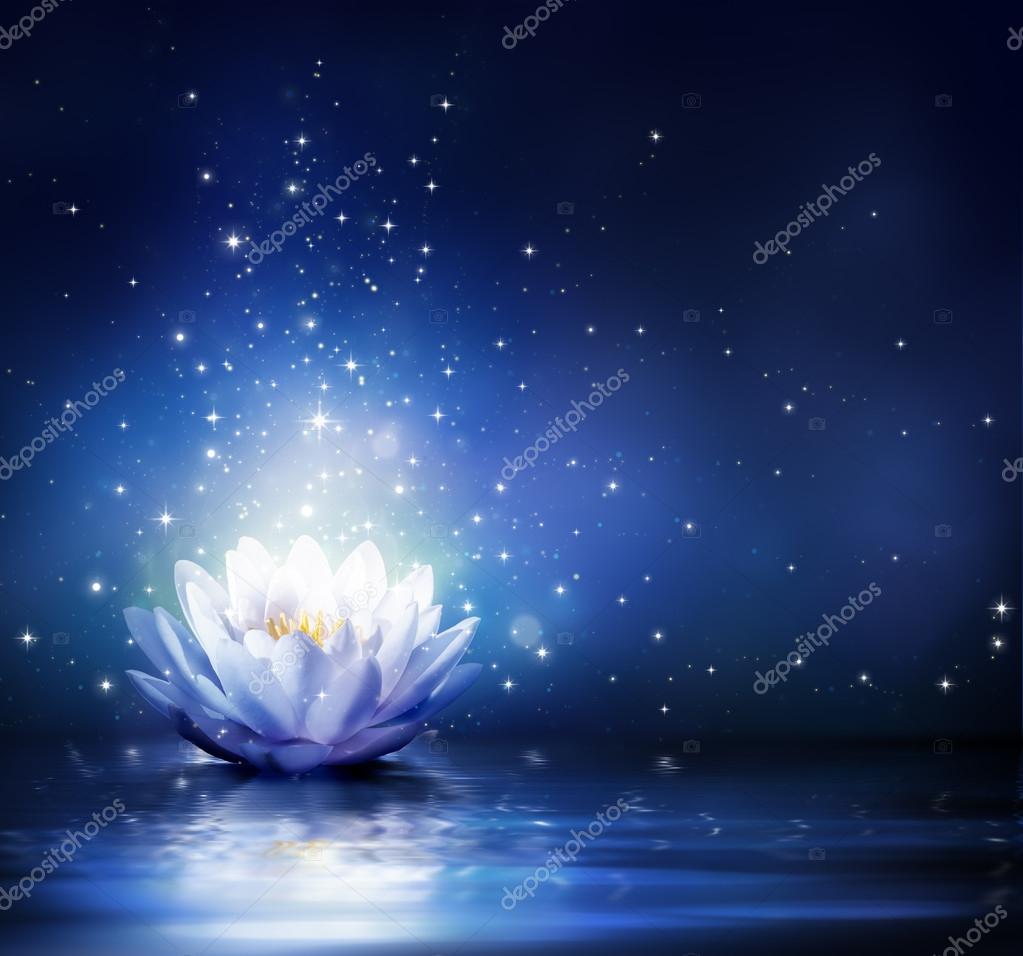 Magic flower on water - blue Stock Photo by ©rfphoto 50106065