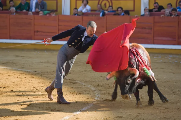 Pistas de corridas Stock Photos, Royalty Free Pistas de corridas Images ...