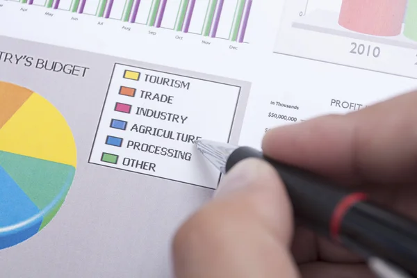 Investment chart — Stock Photo © ml12nan #5087558
