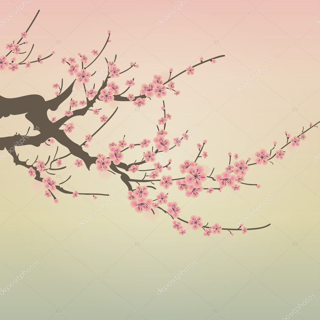 Vector branch of cherry blossom — Stock Vector © Greenvalley #30474575