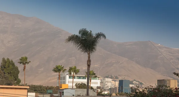Reno Nevada Skyline Stock Photo by ©sframe 37717819