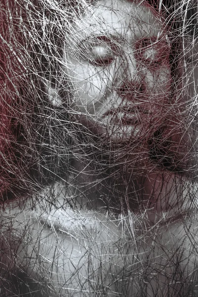 Face net Images - Search Images on Everypixel