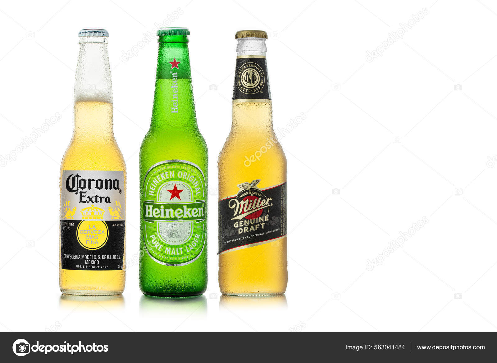 Top Beer Brands