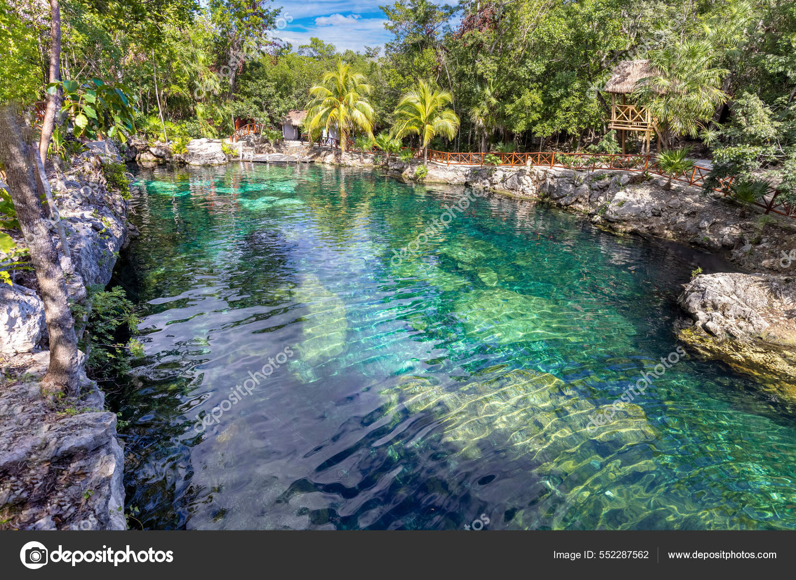 Mexico tourism destination, caves and pools of Cenote Casa Tortuga near ...