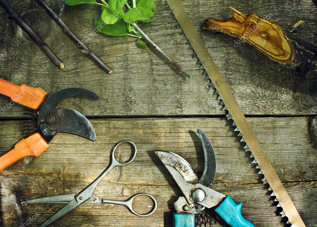 Set of garden tools. Pruning in the garden. — Stock Photo © dgem22 ...