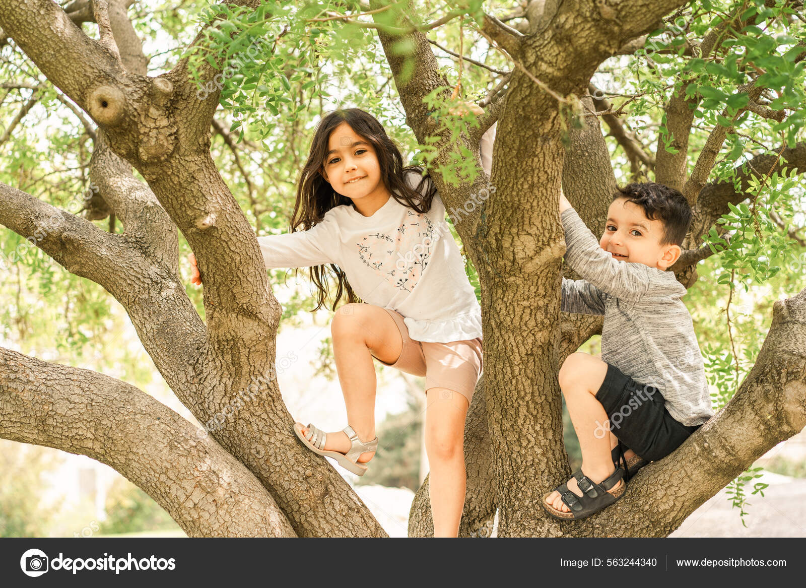 Little Kids Climbing Tree. Stock Photo by ©InnaReznik 563244340