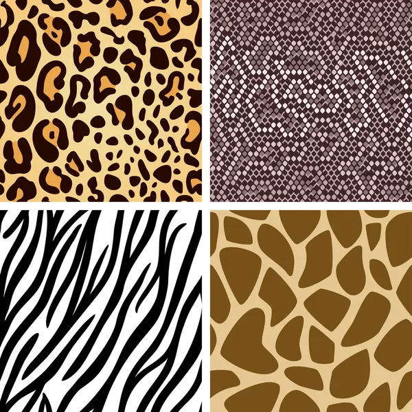 Animal skin backgrounds | Set of animals skin backgrounds — Stock ...