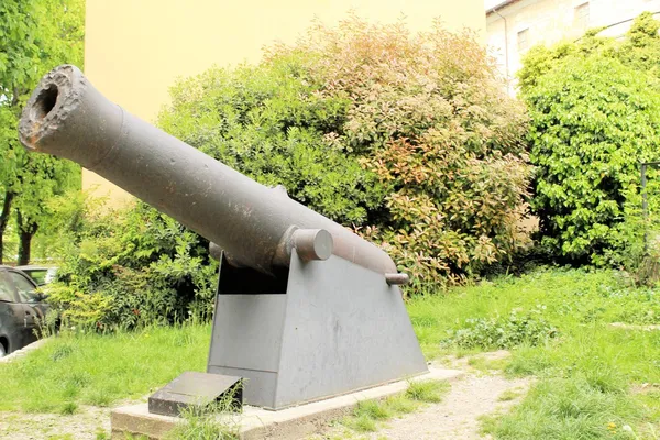 Arquebus gun Stock Photos, Royalty Free Arquebus gun Images | Depositphotos