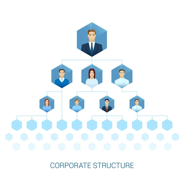 Management structure Vector Art Stock Images | Depositphotos