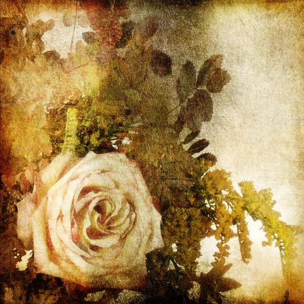 Aged rose flower background Stock Photo by ©andrii 32530303